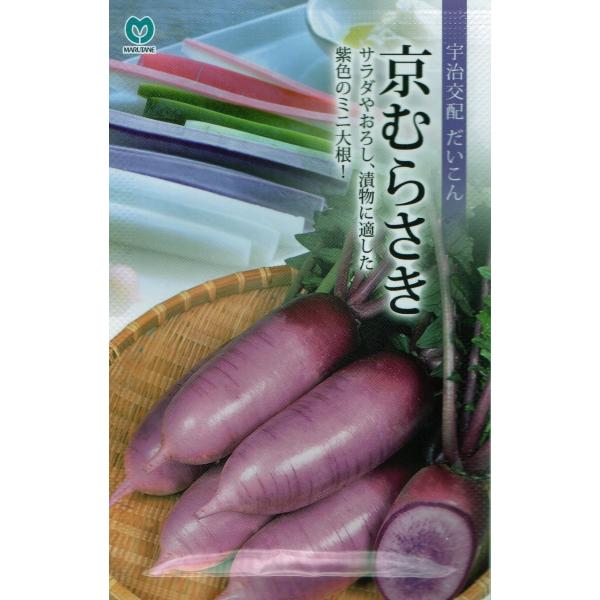 小袋1.5ml入り。播種後約50日で根長15〜18日、根径6〜7cm程度になります。※郵便でのお届けになります。※タネの郵便（第４種便）は運賃が税込￥73〜602円の範囲内です。※１kgを超えるもの、大きくて郵便で送れないものはゆうぱっく　...