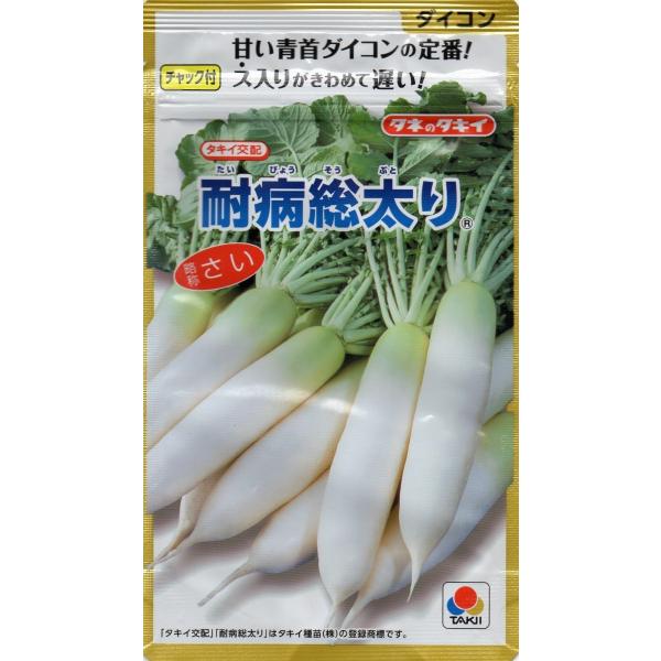 小袋　2dl入り。この1袋でおよそ 5500粒の種があります。生食や煮つけにも合います。※郵便でのお届けになります。※タネの郵便（第４種便）は運賃が税込￥72〜586円の範囲内です。※１kgを超えるもの、大きくて郵便で送れないものはゆうぱっ...