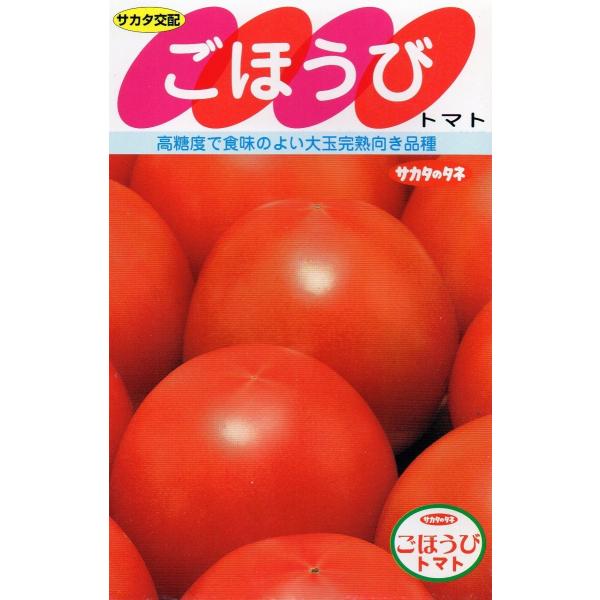 小袋21粒入り。硬玉で日持ちが非常に良いです！花落ちが小さく、秀品率が高いです。※郵便でのお届けです。※タネの郵便（第４種便）は運賃が税込￥73〜602円の範囲内です。※１kgを超えるもの、大きくて郵便で送れないものはゆうぱっく　でのお届け...
