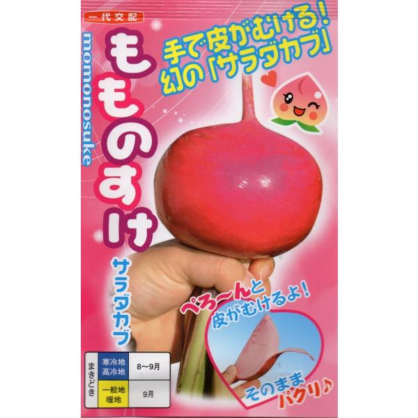 小袋 1ml入り。外皮に切れ込みを入れると、手で綺麗にひと皮むける。※郵便でのお届けになります。※タネの郵便（第４種便）は運賃が税込￥73〜602円の範囲内です。※１kgを超えるもの、大きくて郵便で送れないものはゆうぱっく　でのお届けになり...