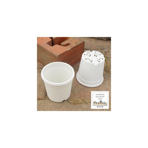 ≪送料無料対象外商品≫■プラスチック鉢A-25●多肉植物やサボテンに●コレクションアイテムとして●プレゼント用に●植え替えに【　商品詳細　】■サイズ　外径　： ６．８ｃｍｘ高さ６．５ｃｍ ■カラー白【　配送方法　】宅配便【　おすすめポイント...