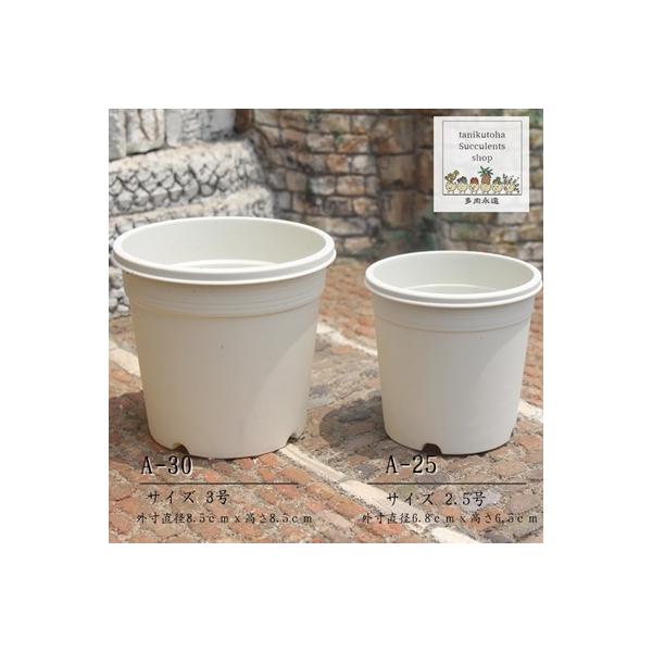 ≪送料無料対象外商品≫■プラスチック鉢A-30●多肉植物やサボテンに●コレクションアイテムとして●プレゼント用に●植え替えに【　商品詳細　】■サイズ　8.5ｃｍ 高さ : 8ｃｍ　内径:7.8ｃｍ ■カラー白【　配送方法　】宅配便【　おすす...