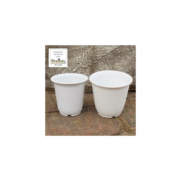 ≪送料無料対象外商品≫■プラスチック鉢LB-25女子に大人気●多肉植物やサボテンに●コレクションアイテムとして●プレゼント用に●植え替えに【　商品詳細　】■サイズ　外径　： 7.5ｃｍｘ高さ7.5ｃｍ　60サイズ：24個入ります ■カラー白...