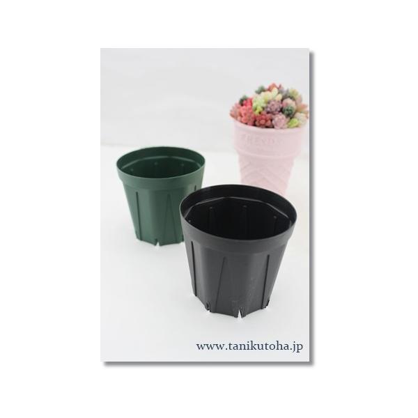 ≪送料無料対象外商品≫■スリット鉢2.5号【黒】最終入荷です●小さな多肉植物に●寄せ植えに●プレゼント用に●挿し穂用に【　商品詳細　】■サイズ　高さ7ｃｍ　間口　7.5ｃｍ■カラー黒【　配送方法　】宅配便【　おすすめポイント♪　】スリット鉢...