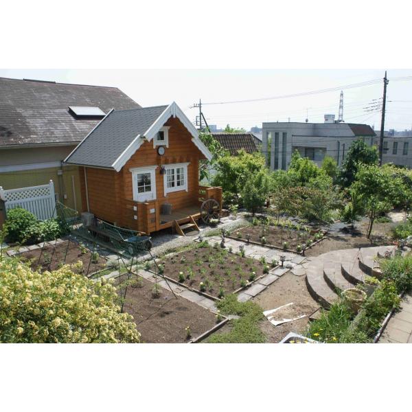 【発売日：2019年11月01日】ログハウスはテレワーク、キャンプ場、趣味部屋、離れ部屋、店舗、雑貨屋、カフェ、パン屋、お菓子屋、美容室、事務所、物置、アトリエ、子供部屋、書斎、英会話教室、ヨガ教室、ペット小屋、工房、ピアノ教室、ガーデンハ...