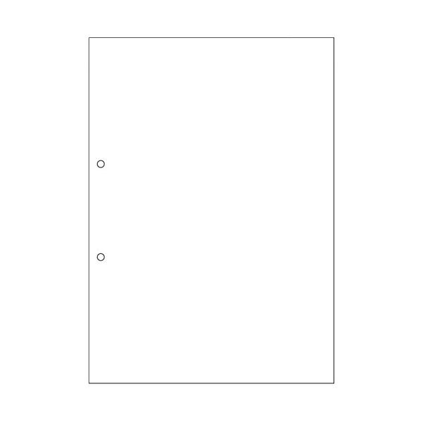 メーカー：オリジナル 　品番：FSCFT2001   レーザプリンタ・コピー機対応のノーカーボンタイプの帳票用紙です。重ねて手書きで記入すると複写されます。　　＜寸法図＞単位：mm