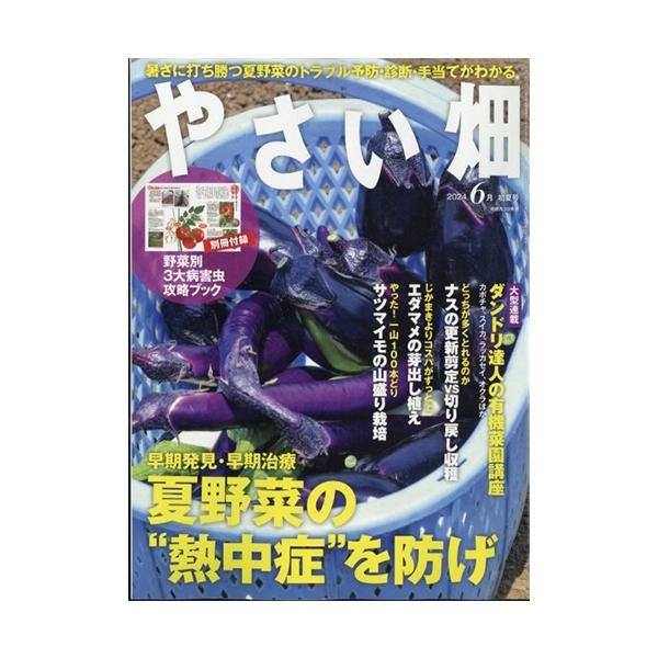 メーカー：家の光協会　 品番：18805 ケイゾク1ネンカン  日本で最初の家庭菜園雑誌　楽しい菜園生活を提案します!!　　画像はイメージです。