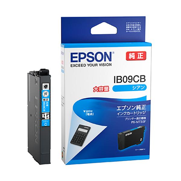 メーカー：エプソン　品番：IB09CB　メーカー純正インクカートリッジ
