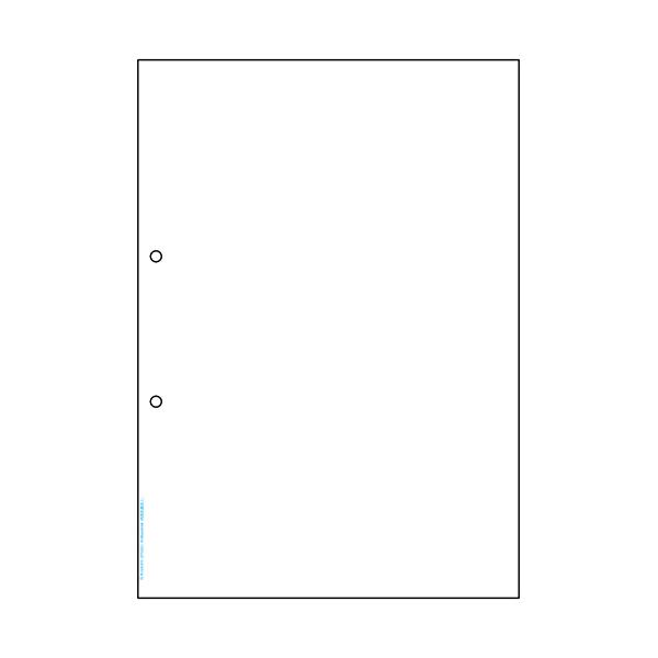 メーカー：ヒサゴ  品番：BPK2001  不特定多数の人が触れる帳票や書類に！両面抗菌加工