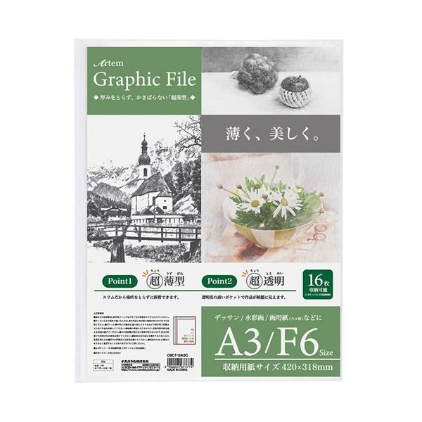 メーカー：ナカバヤシ　 品番：CBCT-GA3C  厚みを取らず、かさばらない「超薄型」でアート作品の持ち運びにおすすめです。　　＜ポケット部アップ＞
