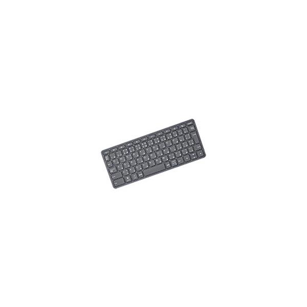 メーカー：ＮＥＣ 　品番：PC-AC-AD049C   【有線タイプ／無線タイプ】PC-T1155HAS、PC-TAB11F01用キーボード　　