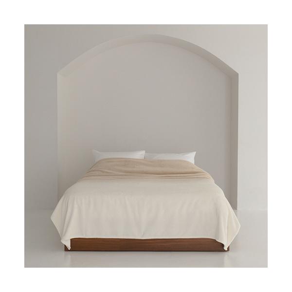 メーカー：西川　 品番：FQ04045527300  軽くてあたたか・ふんわりやわらかタッチ。なごやかに癒される、おうち時間のそばに。思わず包まりたくなるような、やわらかな素材。　　※画像はイメージです。＜使用イメージ＞