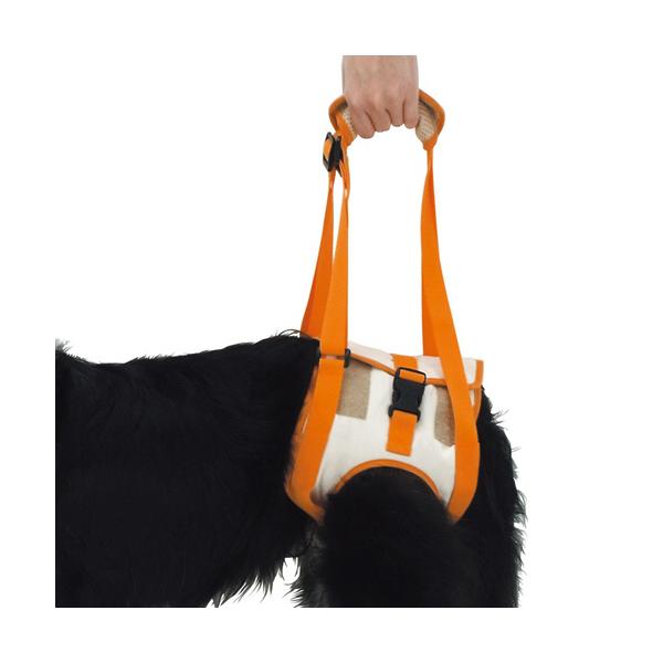 メーカー：ペティオ 　品番：236303   足腰の筋力が低下したときの歩行補助に。　　＜パッケージ＞＜使用イメージ＞