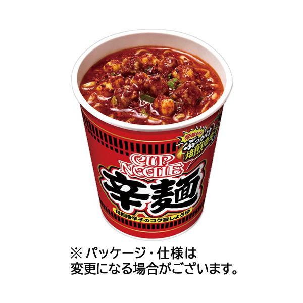メーカー：日清食品 　品番：267837   「お湯さえあれば、いつでも、どこでも」　　＜イメージ＞
