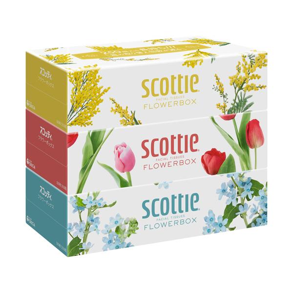 メーカー：日本製紙クレシア 　品番：41330   お部屋を花柄で可愛らしく飾ります。　　