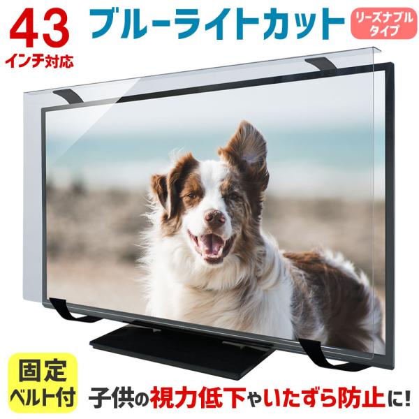 ◆液晶テレビの画面を傷や衝撃から液晶画面を保護するパネルです。◆47.9％ブルーライトをカットします。パネル1枚でブルーライトから目を守ります。◆厚さ3mmの頑丈なアクリルパネルです。◆テレビに引っ掛けてベルトで固定するだけの簡単取り付けで...