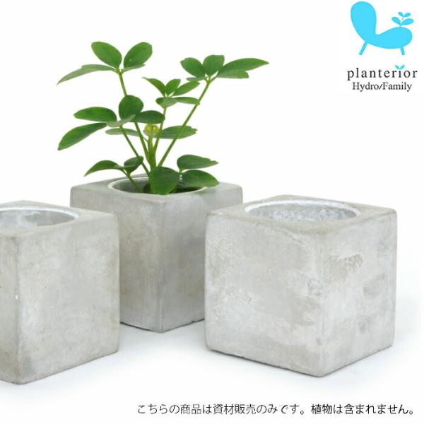 モルタルを固めて作った、キューブ上の器です。ナチュラルな雰囲気の植物を無機質な器に合わせるとクールなコントラストが楽しめます。ハイドロポットSがぴったり入る設計になっています。サイズ：器W7.5×H7cm 材　質：器）モルタル（中に水漏れ防...