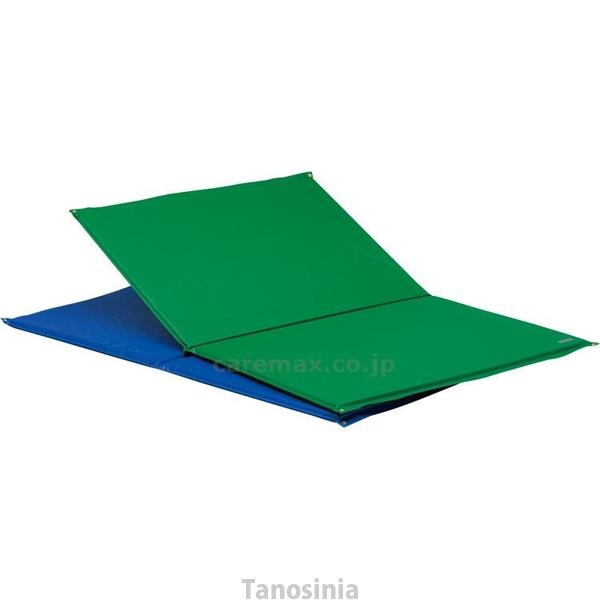鉄棒用下敷マットST90 T-1219B　青 トーエイライト 4518891086509 k23-mkの仕様●サイズ／幅90×長さ180×厚さ3cm●重さ／4kg●材質／外被：クレモナ防水帆布、芯材：ポリエチレンスポンジ●付属品／固定杭4本...