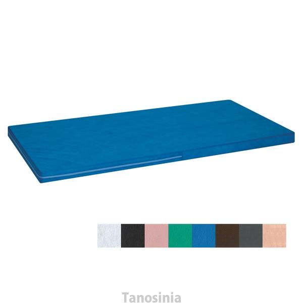 【 高田ベッド FAマットレス　TB-1164 】■適度な硬さと柔軟性を実現するスタンダードなハードマットレス。■豊富なカラーを実現したコストパフォーマンスの高い不織布生地。●素材：ポリプロピレン不織布　●クッション厚：6cm　●重量：3kg