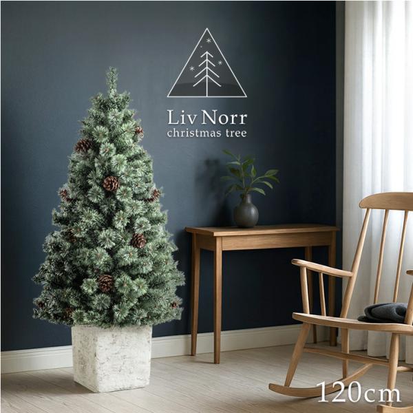 [11/30(日)までP17％〜！2万円以上で更に3%][送料無料（北海道・沖縄県・離島は送料別途）]■サイズ幅65cm×高さ120cm重量：ツリー約5kg/ポット約3kg■素材ツリー：PVC（塩化ビニル樹脂）、スチール、プラスチックポット...