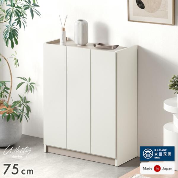 [5/10(日)限定 全品+5%！更にPayPay+5%]★新発売記念★5/31日(木)まで！25,999円[送料無料（北海道・沖縄県は送料別途・離島は配送不可）]■サイズ外寸：幅75×奥行35×高さ96cm■重量約24kg■耐荷重天板：約...