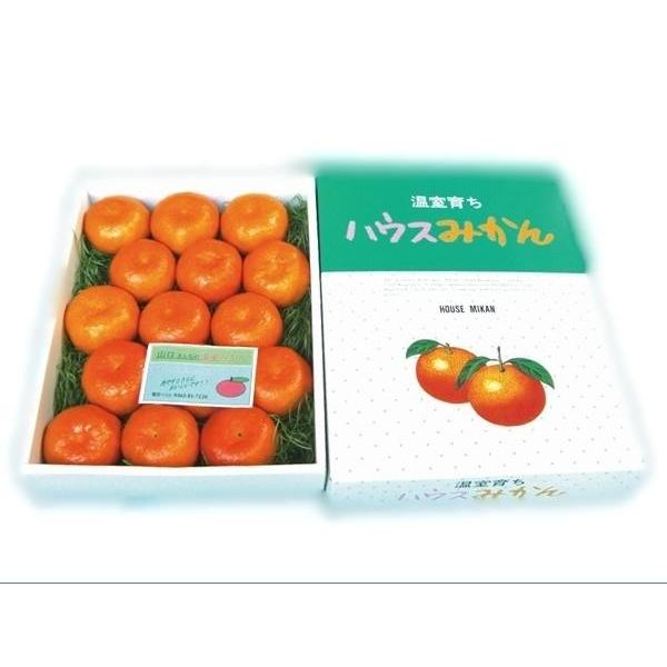 温度管理をして大切に育てました。夏のみかんは、冬の路地栽培より甘味が強いのが特徴です。皮は薄く、こくがあり酸味と甘味のバランスがよいみかんです。糖度は12度以上サイズにより、個数・詰め方が異なります。S-約20個 / M-約15個 / L-...