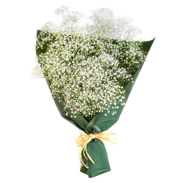 高さ：約65cm ラッピング資材含む花瓶は含まれませんクール便にて配送箱に入れてお届け致します配送希望日をお選びください**注意事項**・北海道・沖縄・離島は、表示価格とは別に追加送料がかかります。・発送元は、弊社・メーカー・コストコのいず...