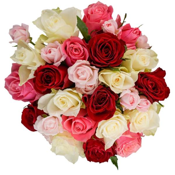 全長：約45cm（ラッピング資材含む）花の全長：約40cmバラ 24本配送希望日をお選びください花瓶は商品に含まれておりません**注意事項**・北海道・沖縄・離島は、表示価格とは別に追加送料がかかります。・発送元は、弊社・メーカー・コストコ...