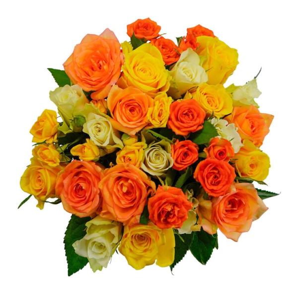 全長：約45cm（ラッピング資材含む）花の全長：約40cmバラ 24本配送希望日をお選びください花瓶は商品に含まれておりません**注意事項**・北海道・沖縄・離島は、表示価格とは別に追加送料がかかります。・発送元は、弊社・メーカー・コストコ...