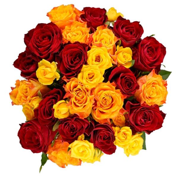 全長：約45cm（ラッピング資材含む）花の全長：約40cmバラ 24本配送希望日をお選びください花瓶は商品に含まれておりません**注意事項**・北海道・沖縄・離島は、表示価格とは別に追加送料がかかります。・発送元は、弊社・メーカー・コストコ...