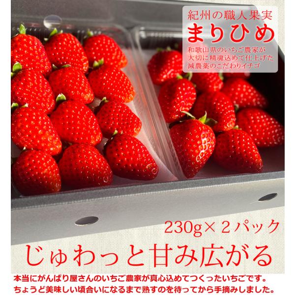 各メディアで度々日本一美味しいイチゴとして紹介される和歌山県産イチゴまりひめ。230g入×2合計460gお買い得！和歌山県美浜町の代々続く農家さんが精魂込めてつくってくださったイチゴです。本当に濃い甘みが特徴で、ここまで甘味のあるイチゴはま...
