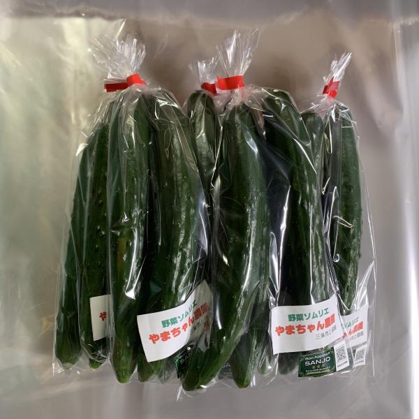 3本で1パックに詰めているので、新鮮さが保たれてます。山崎農園の朝採れたキュウリを3本入りを4パックにして発送いたします。