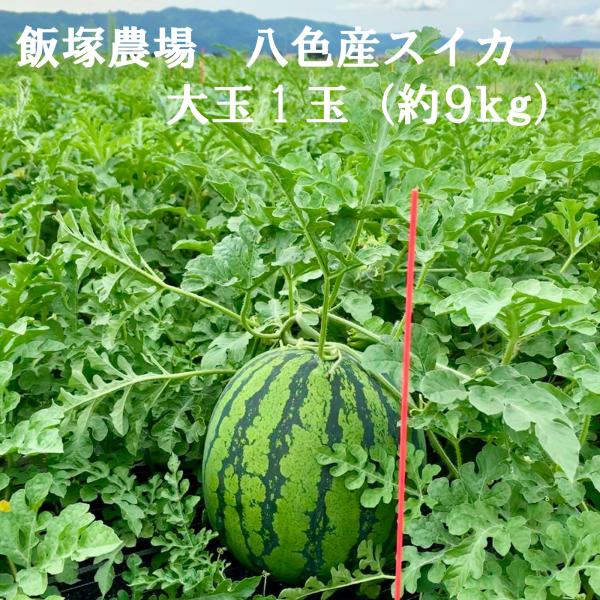 【発売日：2025年07月15日】南魚沼の八色原の飯塚農場に訪れてきました！8月中旬までが旬な八色原のスイカです。糖度が高く、シャキシャキしてとても美味しい八色産のスイカ。八色原の地域は新潟県でも有数の豪雪地帯です。八海山や駒ケ岳などの名山...