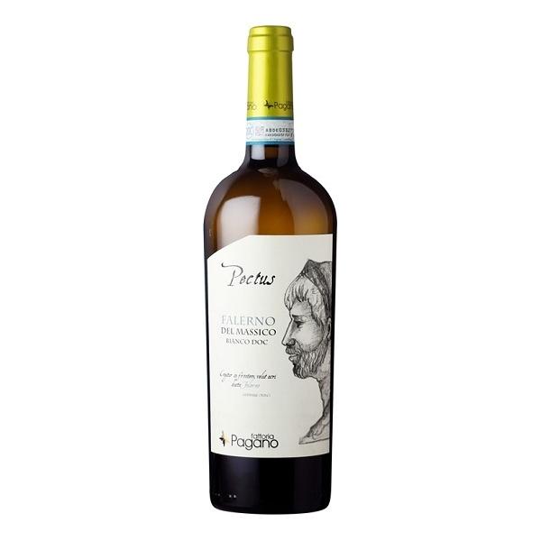Falerno del Massico Pectus 2021 Fattoria Pagano【白】【辛口】【ビオ】【アルコール度数 13.5％】等級 : Bianco D.O.C.葡萄品種：ファランギーナ 100%熟成：バリック(新樽)で...
