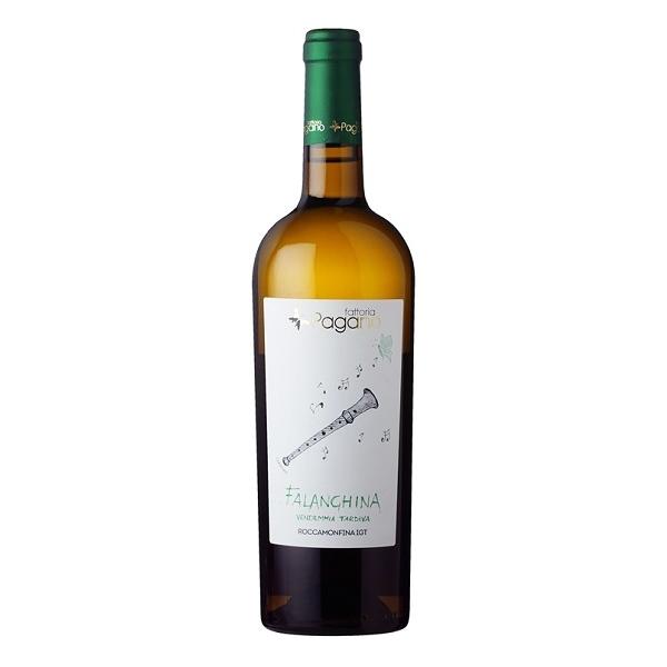 Falanghina Vendemmia Tardiva Roccamonfina Bianco 2024 Fattoria Pagano【白】【辛口】【アルコール度数 13.5％】【ビオ】等級 : Bianco I.G.T.葡萄品種：ファ...