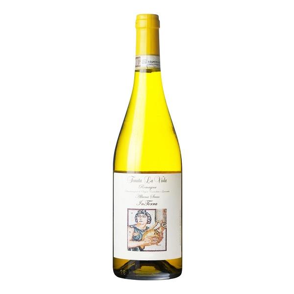 Romagna Albana Secco In Terra 2022 Tenuta La Viola【白】【辛口】【ビオ】【オレンジワイン】等級 : Rosso D.O.C.G.葡萄品種：アルバーナ 100%熟成：アンフォラで約4〜5ヶ月間...