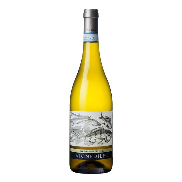 Verdicchio Castelli di Jesi Classico 2024 Vignedileo【白】【辛口】【アルコール度数 13%】等級 : Bianco D.O.C.品種：ヴェルディッキオ 100％平均樹齢 : 40年熟成：ス...