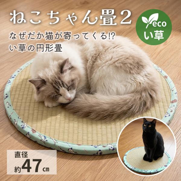 なぜだか猫が寄ってくる不思議な魅力の「ねこちゃん畳」猫には「丸い場所に入りたくなる」という習性があるため、置くだけでお気に入りの特等席に。天然い草100%の畳の上で心地よくくつろいだり、爪をといだりと、愛猫のにゃんこライフをさらに充実させて...
