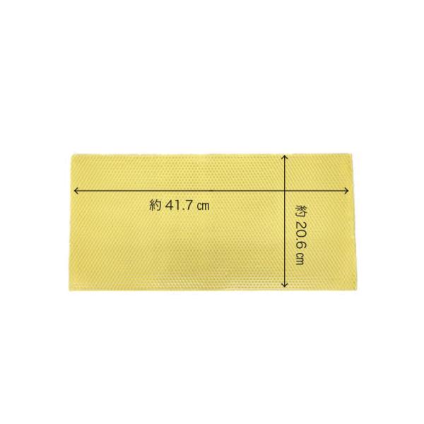 西洋ミツバチ用の 補強針金なし巣礎・50枚セット です。針金が入っていないため、巣脾の溶解・処理がしやすく、蜜蝋採取が非常に容易 になることが最大の特徴です。湯煎時に金属が残らないため、純度の高い蜜蝋を効率よく得ることができます。針金なし巣...