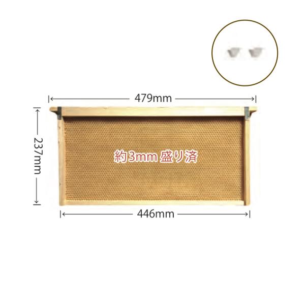 巣盛り済完成巣枠。貯蜜や子育てなど群の形成が早い。三角コマ付属。8ミリか 12ミリを選択可能。ガンマ線で滅菌済み。針金あり。特にご指定がない場合、12mmの三角ゴマをお送りします。