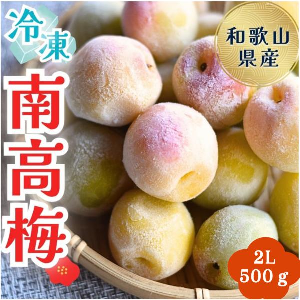 2025年度産　和歌山県紀美野町産南高梅　500ｇ梅シロップ、梅酒、梅ジャム向きの冷凍梅です。2Lと大粒ですので果肉たっぷりです。黄色く熟し始めた頃の梅ですので、少し甘みのある味に仕上がります。冷凍することで果肉の繊維が壊れ、梅のエキスが抽...