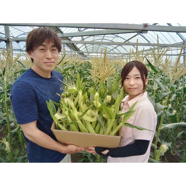 【発売日：2027年04月03日】採れたて新鮮！朝収穫したヤングコーンをその日の内に発送いたします。新鮮なのでシャキシャキでヒゲも美味しく食べれます。※最短で発送ご希望の場合はお届け日の指定なし(時間指定は可)でお願いいたします。★おすすめ...