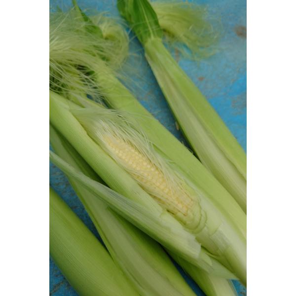 採れたて新鮮！朝収穫したヤングコーンをその日の内に発送いたします。新鮮なのでシャキシャキでヒゲも美味しく食べれます。