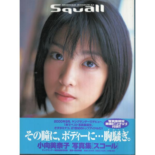 小向美奈子　写真集　　ポスター付き