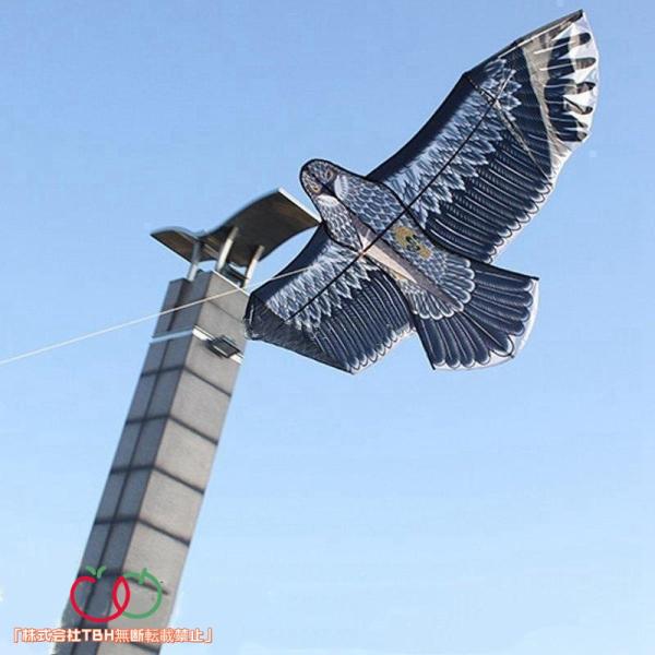 素材：高密度のカイトクロスサイズ：1.5ｍ:150*70cm※注意カラーランダムデリバリーカラーランダムデリバリーカラーランダムデリバリー※注意 -採寸方法違いより -多少の誤差が生じ -ぜひともご了承ください。 -光とスクリーンによってわ...