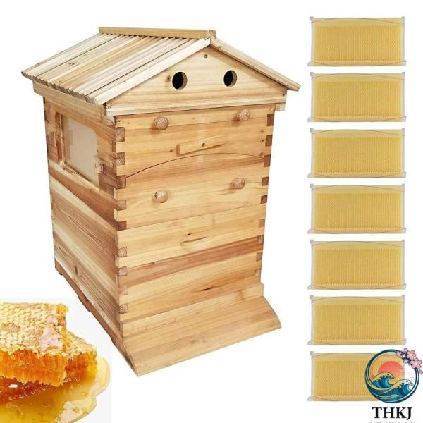 蜜蜂巣箱 ミツバチ巣箱 養蜂箱 巣箱 蜂箱 フローハイブ養蜂セット 蜜蜂飼育箱 蜂の巣 ミツバチ飼育箱 ミツバチ養殖 ミツバチの採蜜 巣礎 巣脾 自動ハチミツ採取