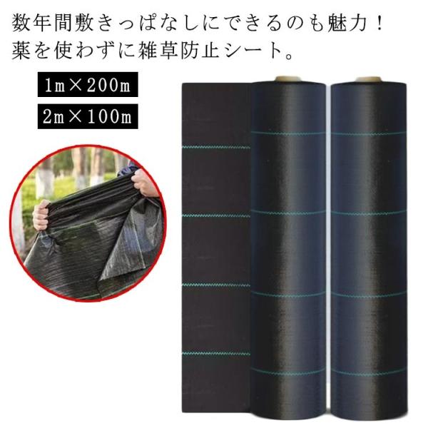 数年間敷きっぱなしにできるのも魅力！薬を使わずに雑草防止シート。日光を遮断し雑草の光合成を抑える事で、何度抜いても生えてくる雑草を枯れさせて再発生を防ぎます。地面を雑草が生えにくいコンクリートで固めるのには、かなりの費用がかかりますが防草シ...