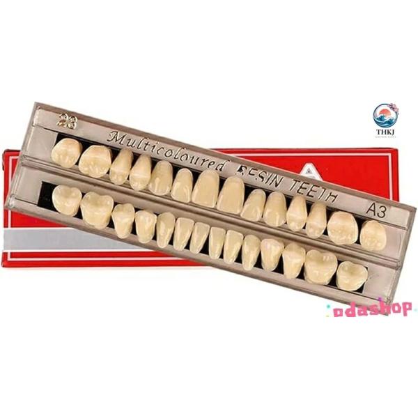 100%新しい品質と優れた品質。 材質：アクリル樹脂。 28本の歯のセット。