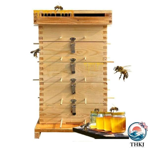 ★ユニークなデザイン:蜂の巣巣礎を必要としない。竹串で代用する。蜂蜜を取るのは簡単で、繰り返し取り出す必要がなくて、ミツバチに対する妨害を減らします。★より安全:養蜂箱網の設計があり、外の昆虫から蜂を守ることができます。掃除はもっと便利で、...
