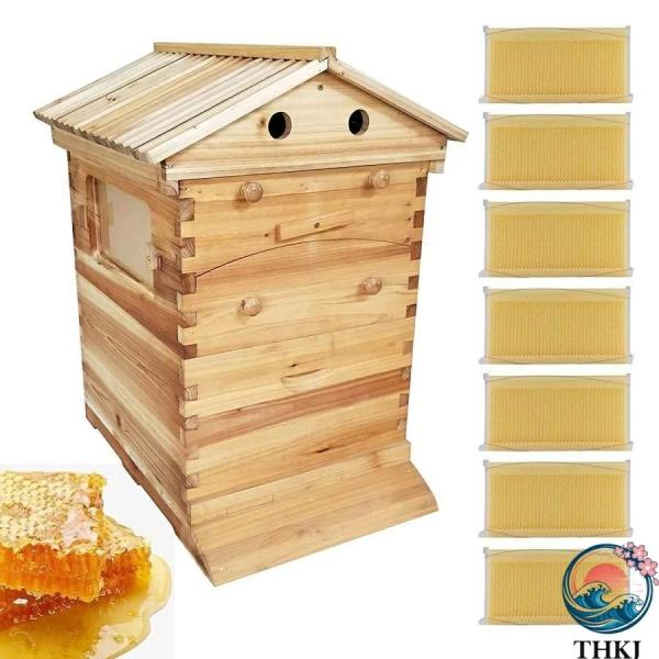 蜜蜂巣箱 ミツバチ巣箱 養蜂箱 巣箱 蜂箱 フローハイブ養蜂セット 蜜蜂飼育箱 蜂の巣 ミツバチ飼育箱 ミツバチ養殖 ミツバチの採蜜 巣礎 巣脾 自動ハチミツ採取